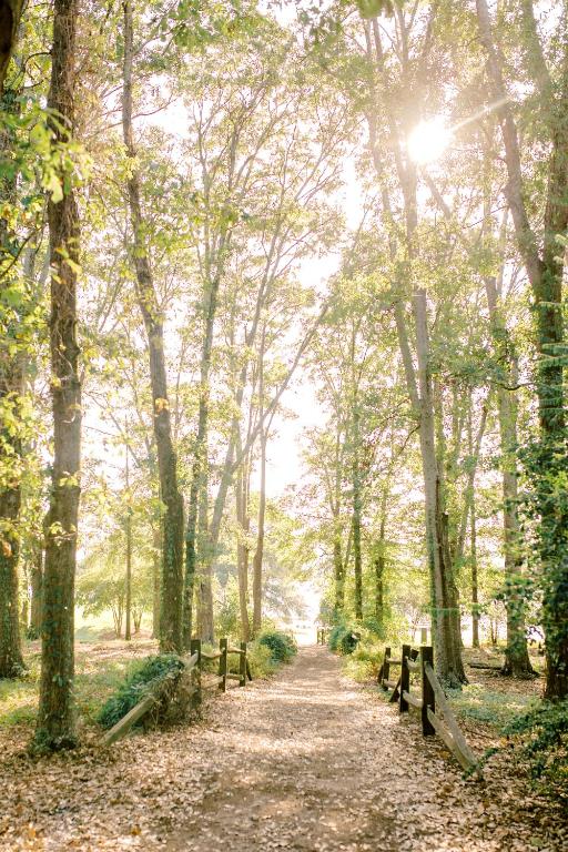 James F. Martin Inn, Clemson (updated prices 2025)