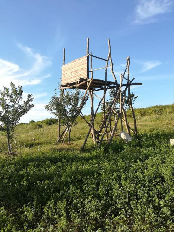 Pensiunea agroturistica Casa Sirca, Boghiş (updated prices 2025)