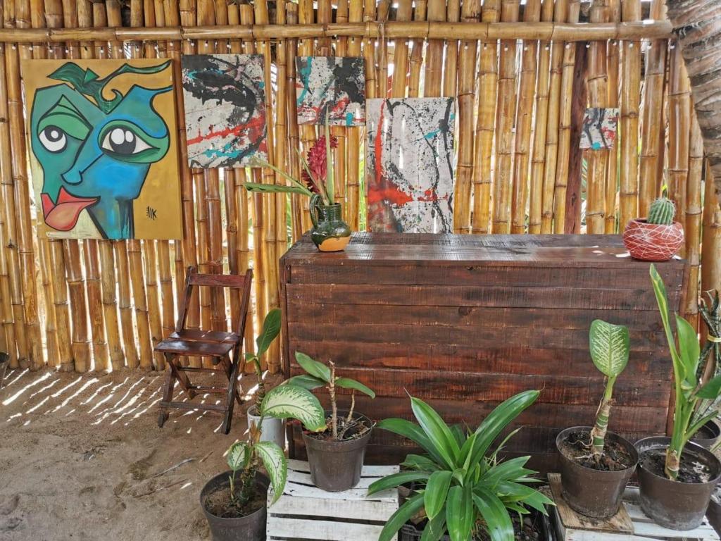 La Máxima & LGBT, Zipolite (updated prices 2025)