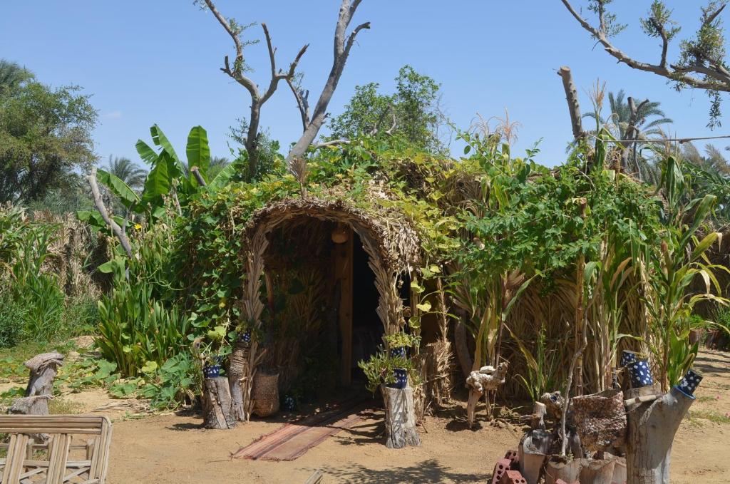 Mountain Camp Ali Khaled, Siwa – Updated 2024 Prices