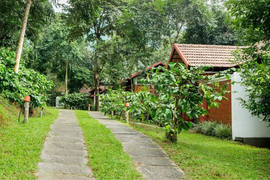 Vythiri Mist Resort, Vythiri (updated prices 2025)