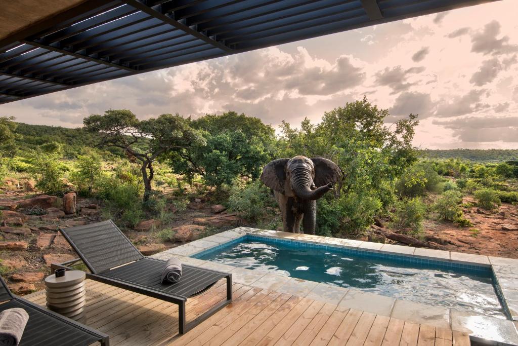 57 Waterberg, Welgevonden Game Reserve (updated prices 2025)