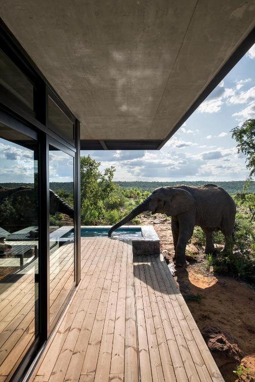 57 Waterberg, Welgevonden Game Reserve (updated prices 2025)
