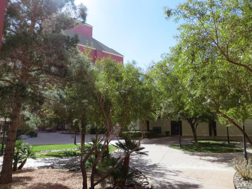 Buffalo Bills Resort & Casino, Primm (updated prices 2025)