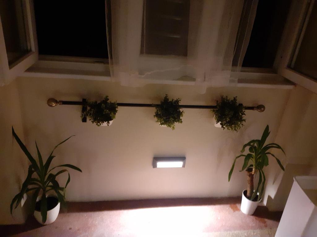 M4You, Zagreb – Aktualisierte Preise für 2023