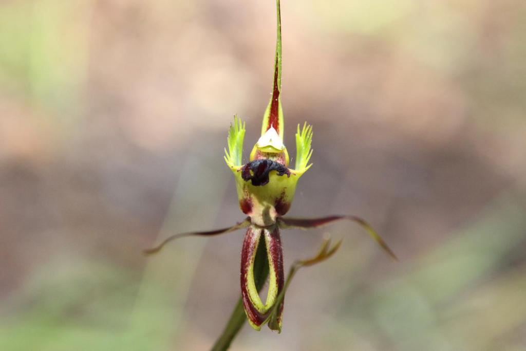 Sapphire Chalets, Augusta, Augusta (updated prices 2025)