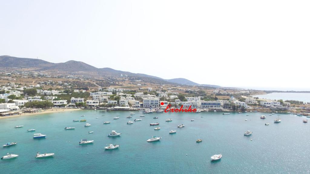 Exohiko, Aliki – Updated 2024 Prices