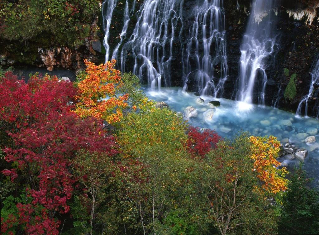 Kamihoroso, Kami-furano (updated prices 2025)