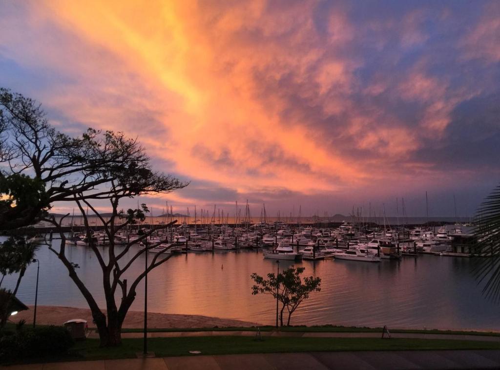 Shingley Beach Resort - Whitsundays, Airlie Beach (updated prices 2025)