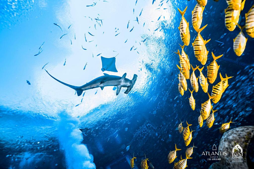 Atlantis Sanya, Sanya (updated prices 2025)