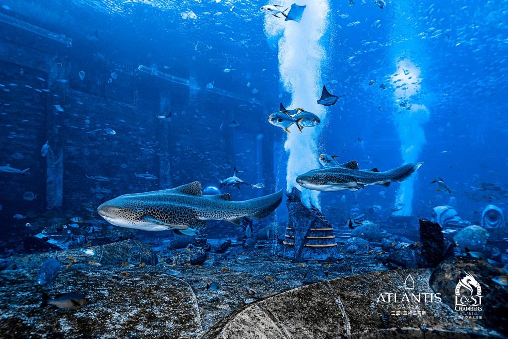 Atlantis Sanya, Sanya (updated prices 2025)