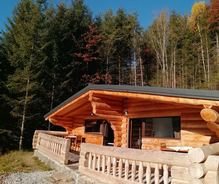 Cabanele silvania 1, Statiunea Borsa – Precios actualizados 2022