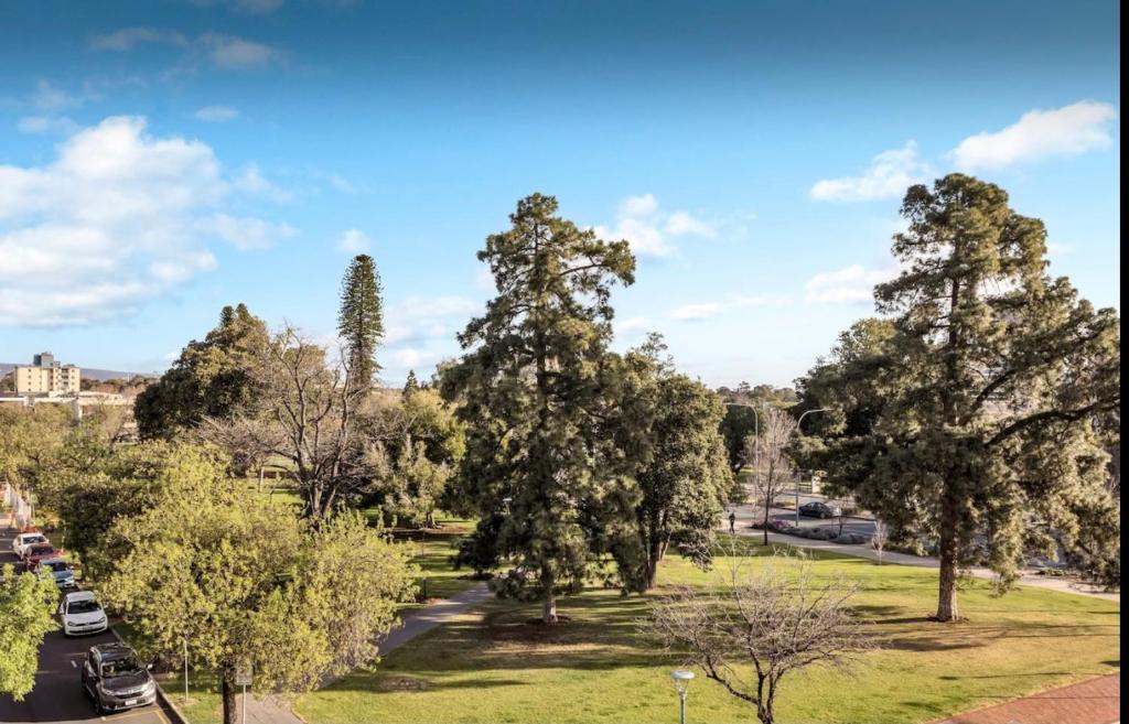 Forest of Dreams in Adelaide - Traveleto