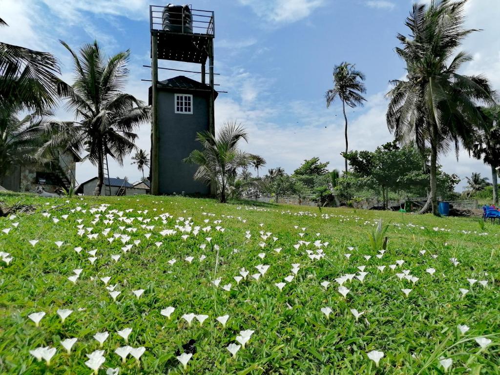 Afro Beach eco Resort Butre, Butre (updated prices 2025)