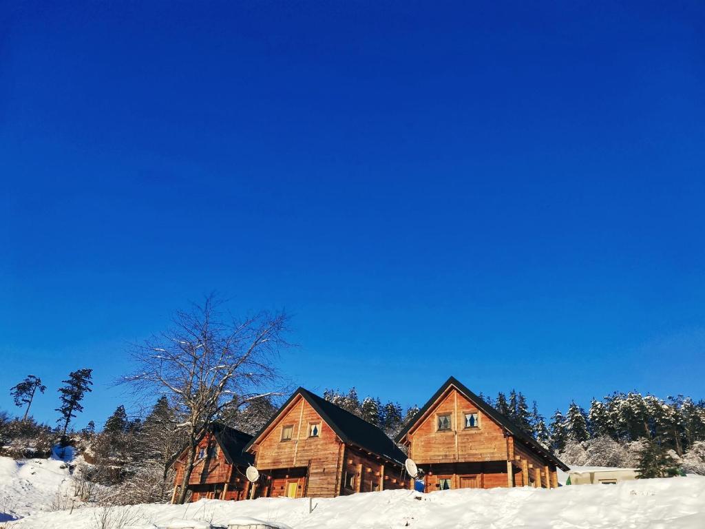 Sunny Hill Cabin Kolasin/cabin 3 - Montenegro