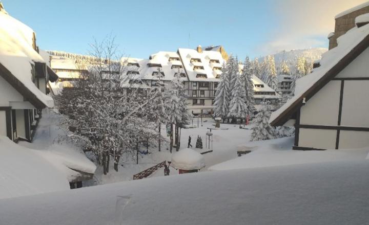 Mali Medved Konaci, Kopaonik (updated prices 2025)