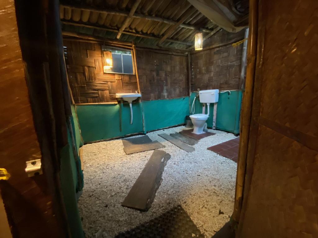 Emerald Gecko, Havelock Island (updated prices 2025)