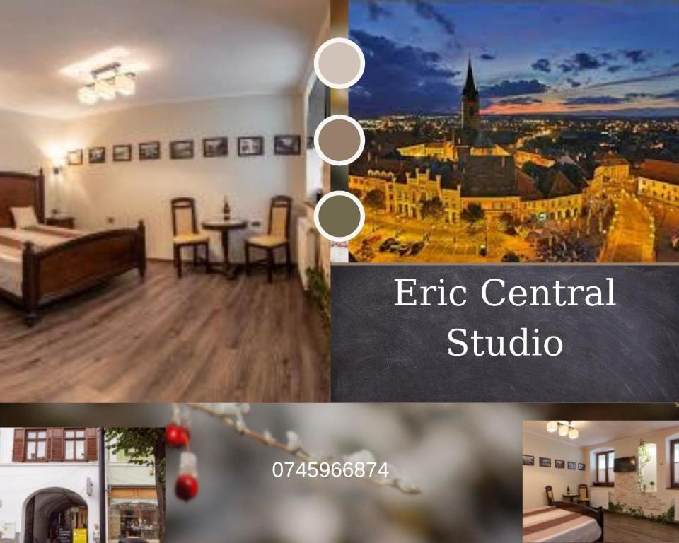Eric Central Studio, Hermannstadt (aktualisierte Preise für 2026)