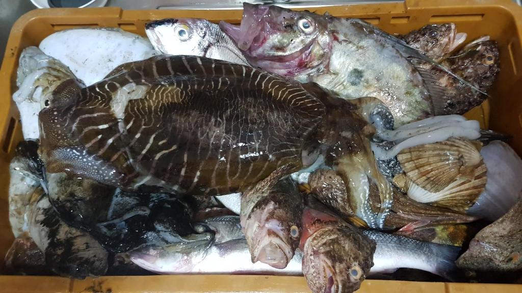 Villa Rava Hotel & restaurant, Rava (updated prices 2025)