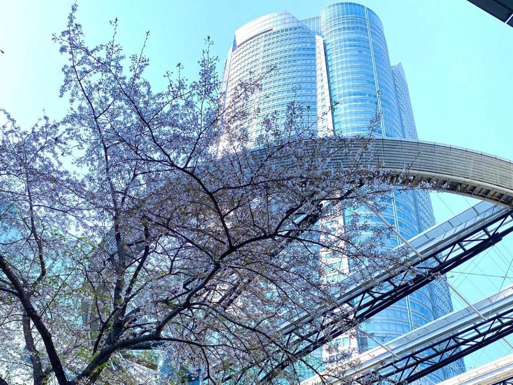 APA Hotel Roppongi SIX, Tokyo (updated prices 2025)