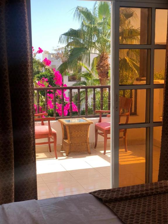 Delta Sharm, Sharm El Sheikh (updated prices 2025)