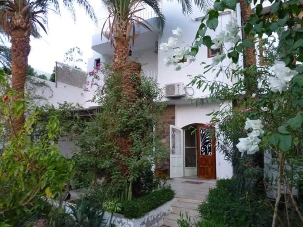 Teba House, Luxor (updated prices 2026)