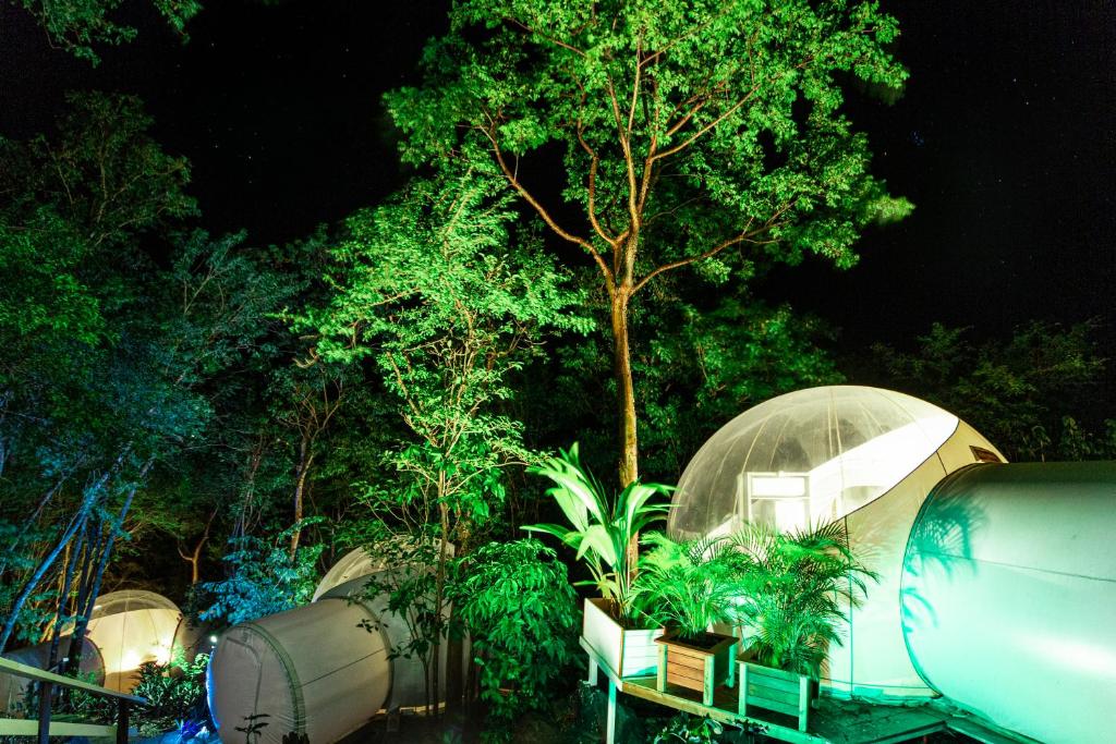 Maison En Bulle | Ventana Blog