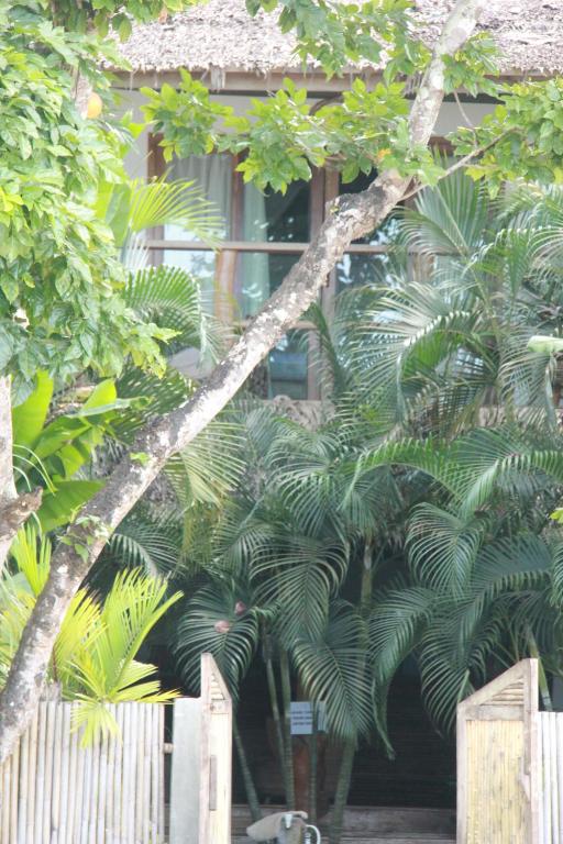 Maligaya Beach Bungalows, El Nido (updated prices 2025)