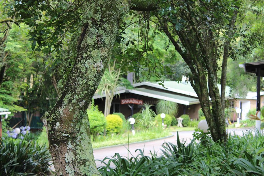 Sakabula Country Lodge, Camperdown – Updated 2024 Prices