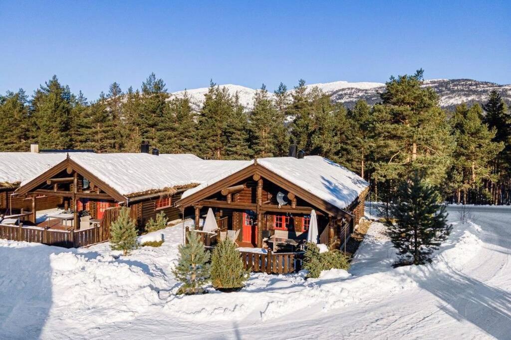100m lift, 2 min swim - Large family cabin, Vradal (aktualisierte ...