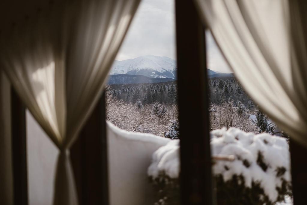 Pensiunea Dealul Verde, Porumbacu de Sus (updated prices 2025)