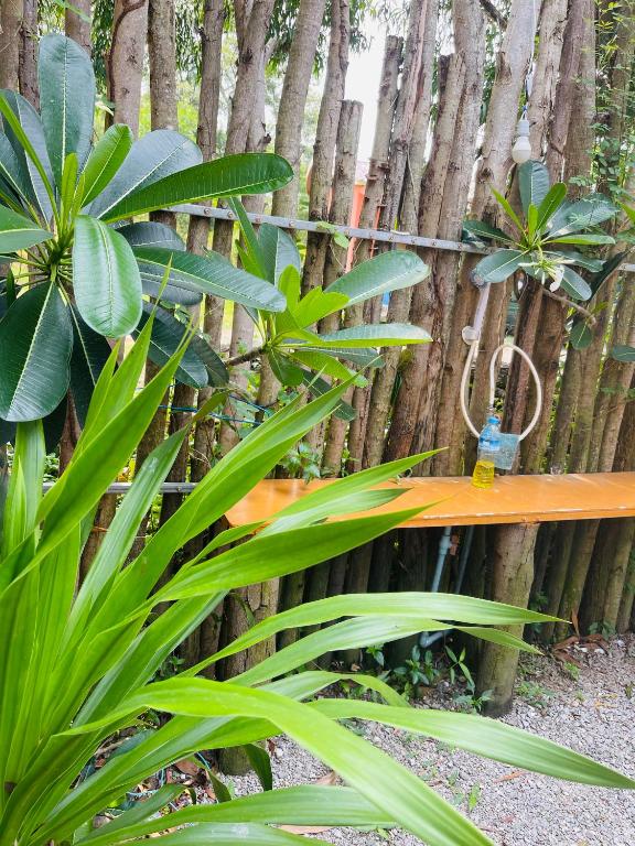 Boon Nam Fah Resort, Chao Lao Beach (updated prices 2025)