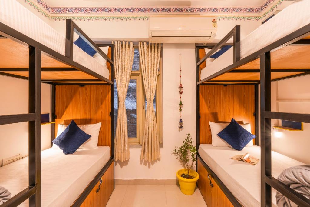 Shalom Backpackers Udaipur, Udaipur (updated prices 2025)