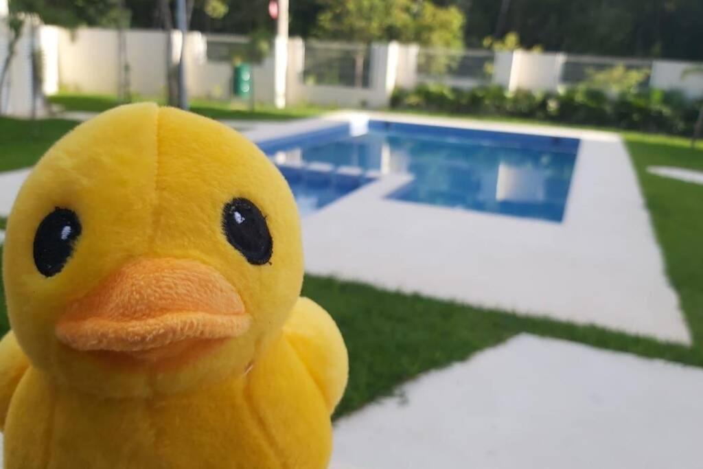 El Depa del Pato, Cancún (precios actualizados 2025)