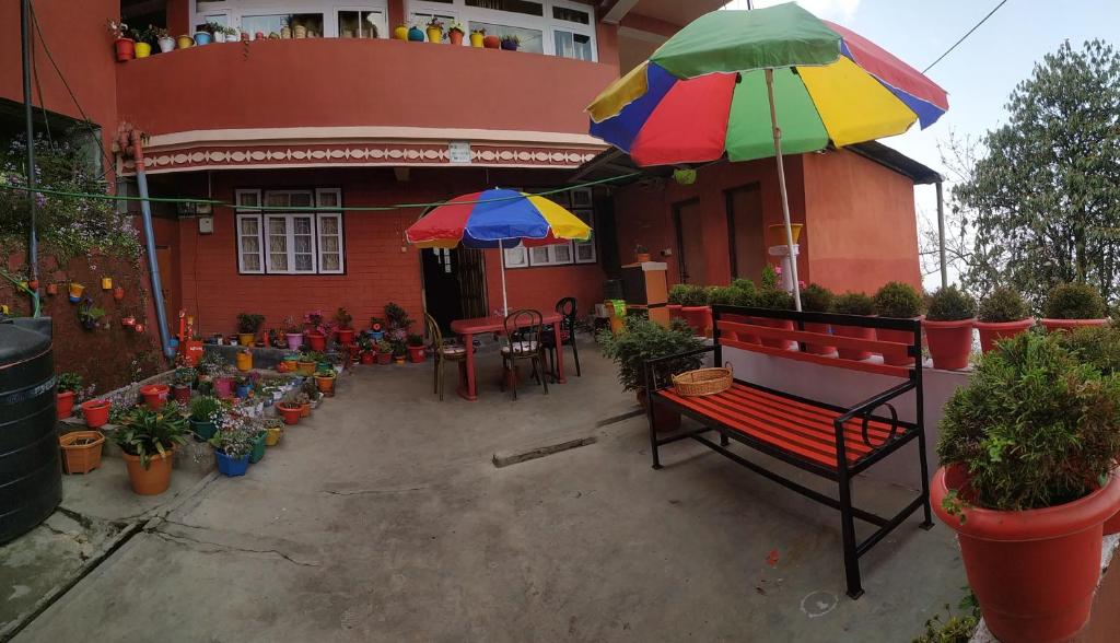28 Homestays In Darjeeling (2023) | Updated Deals, Latest Reviews, Photos