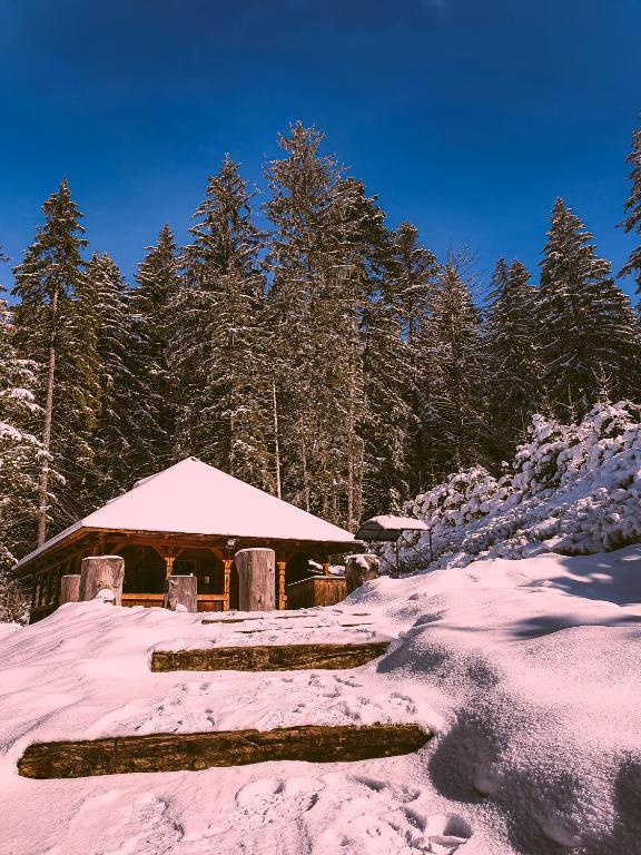 Teleferic Grand Hotel, Poiana Brasov (updated prices 2025)