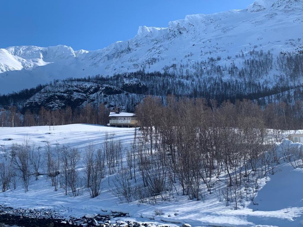 Modern Cabin A Few Hours Drive From Tromsø - Norway