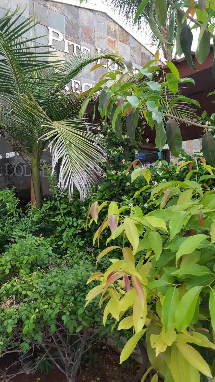 Pits lodge, Polokwane (updated prices 2025)