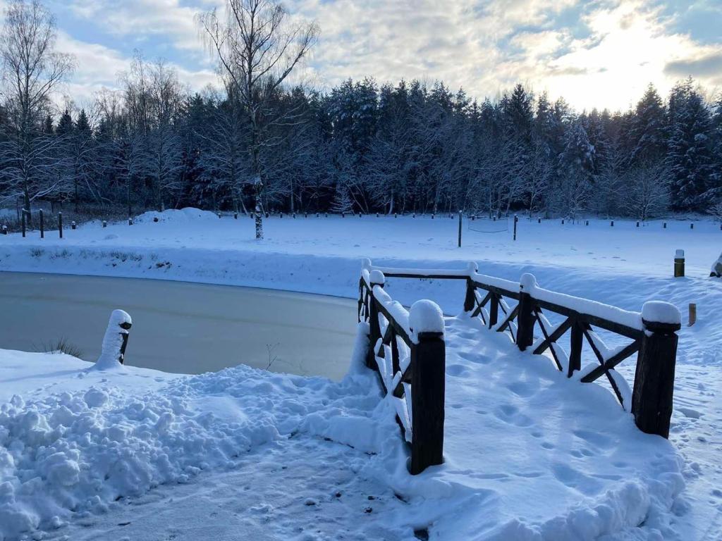 Senasis Rambynas, Lumpėnai (updated prices 2025)