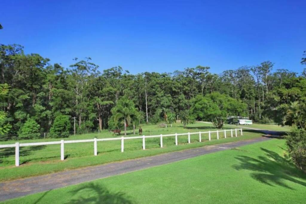 Cabin Country Retreat Paskins Farm - Montville