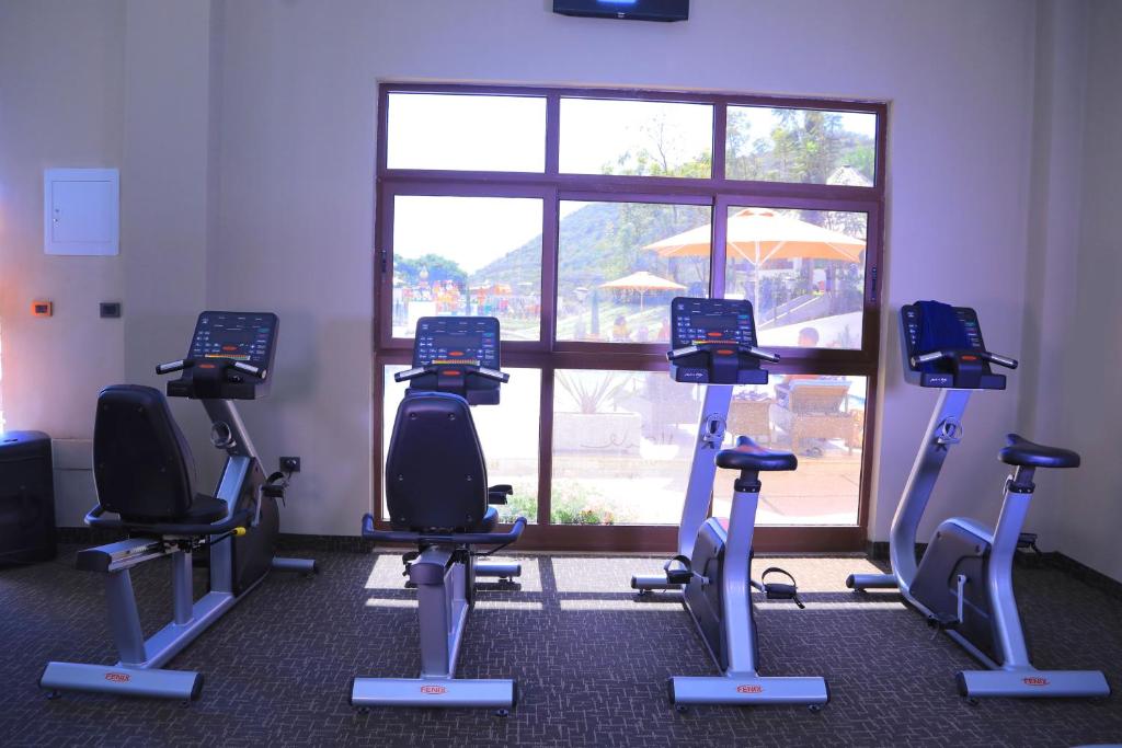 Haile Resort Adama, Adama (updated prices 2025)