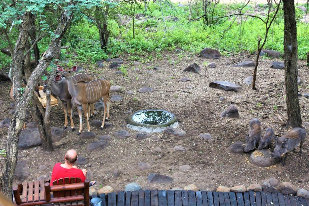 Kruger Kumba - Lahlekile Nathi, Marloth Park (updated prices 2025)