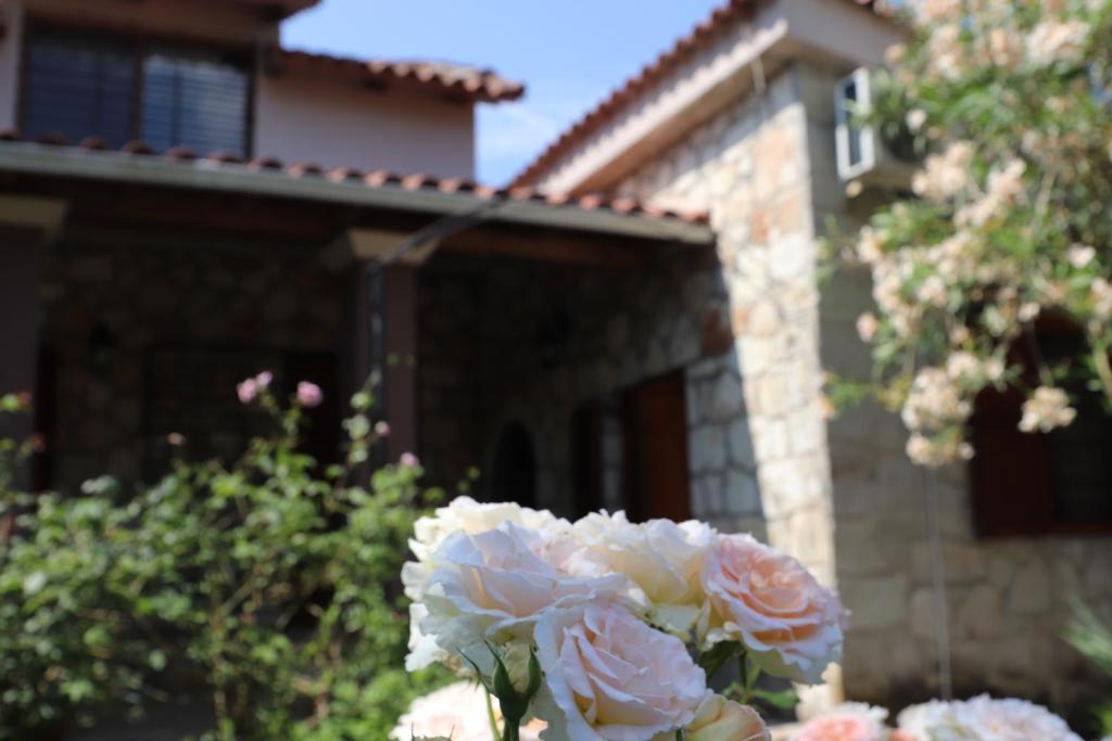 Villa Polytimi, Vonitsa (updated prices 2026)