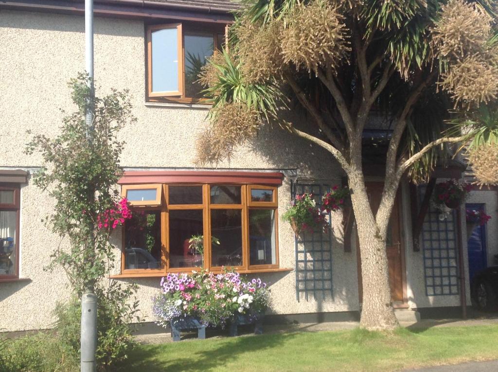 Lovely, Dog Friendly Family Home, Hayle Cornwall. - St Ives
