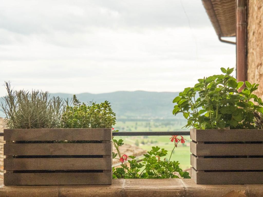 Domus Flora Guest House, Spello (updated prices 2025)