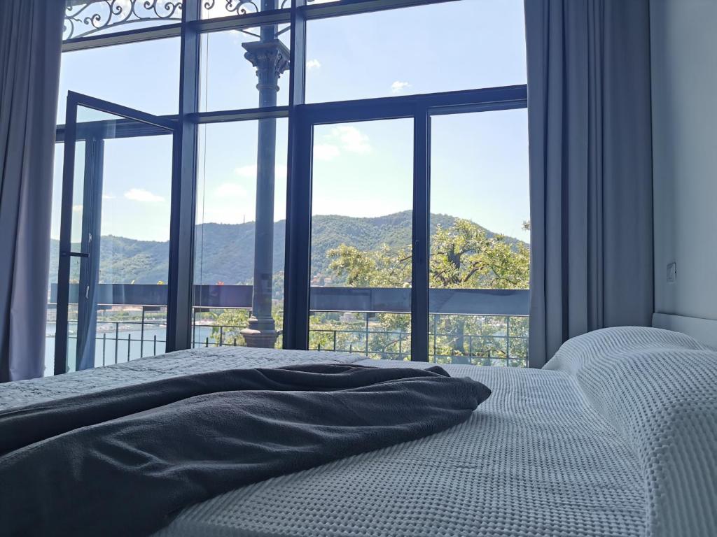 Lake View From A Window