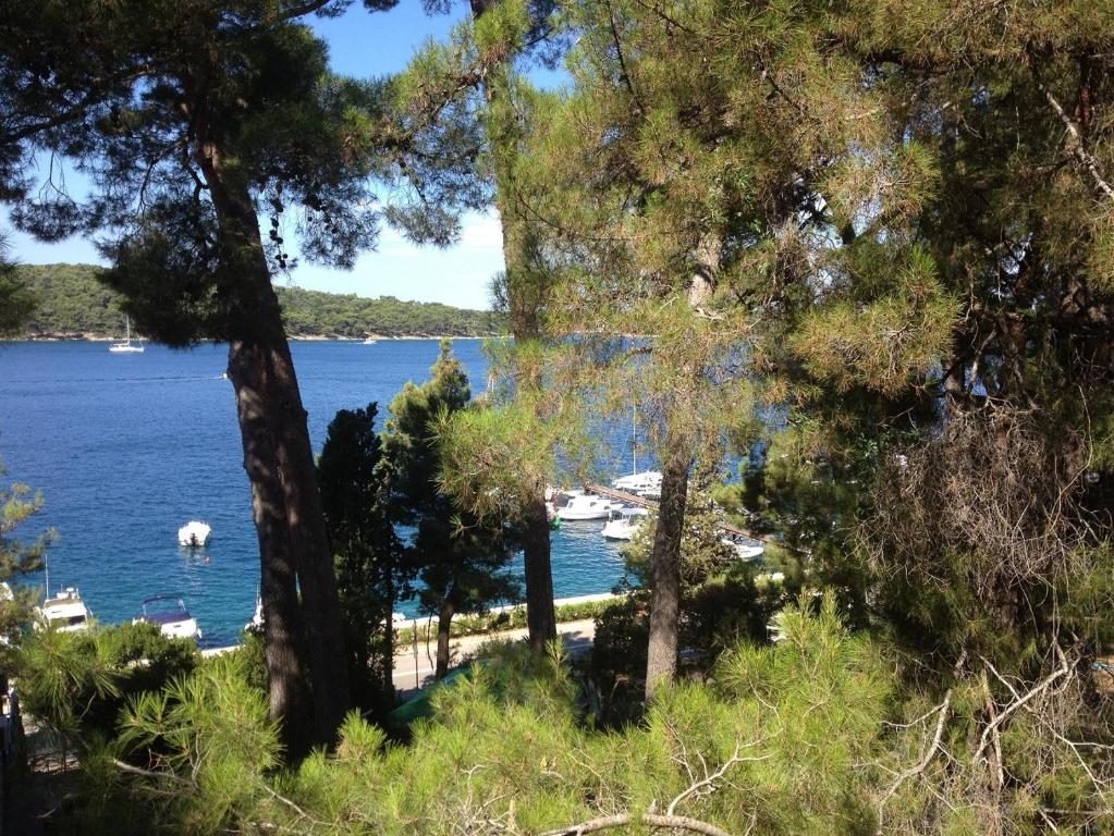 Are Dogs Allowed At Chidley Reserve