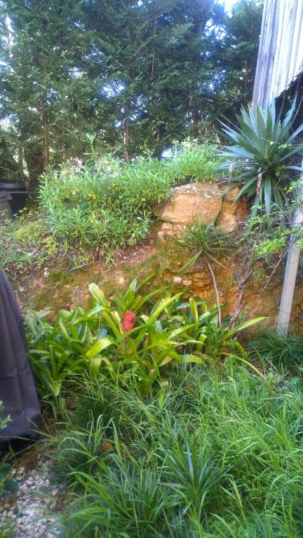 Linley House, Sydney (updated prices 2025)