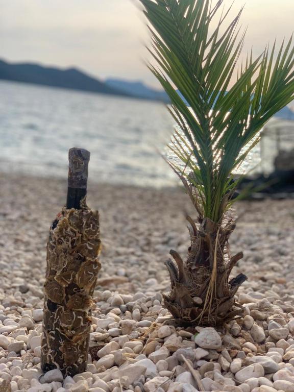 Feral Beach, Neum (updated prices 2025)