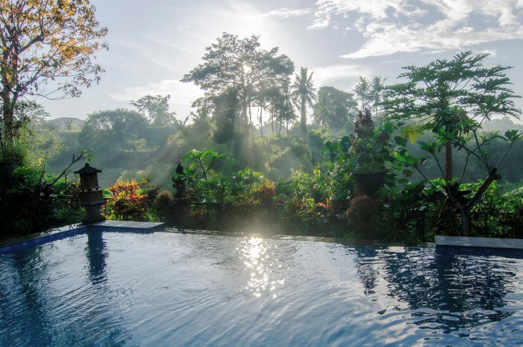 Big Tree House, Ubud (updated prices 2025)